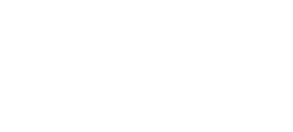 SAP BusinessObjects - CAS AG