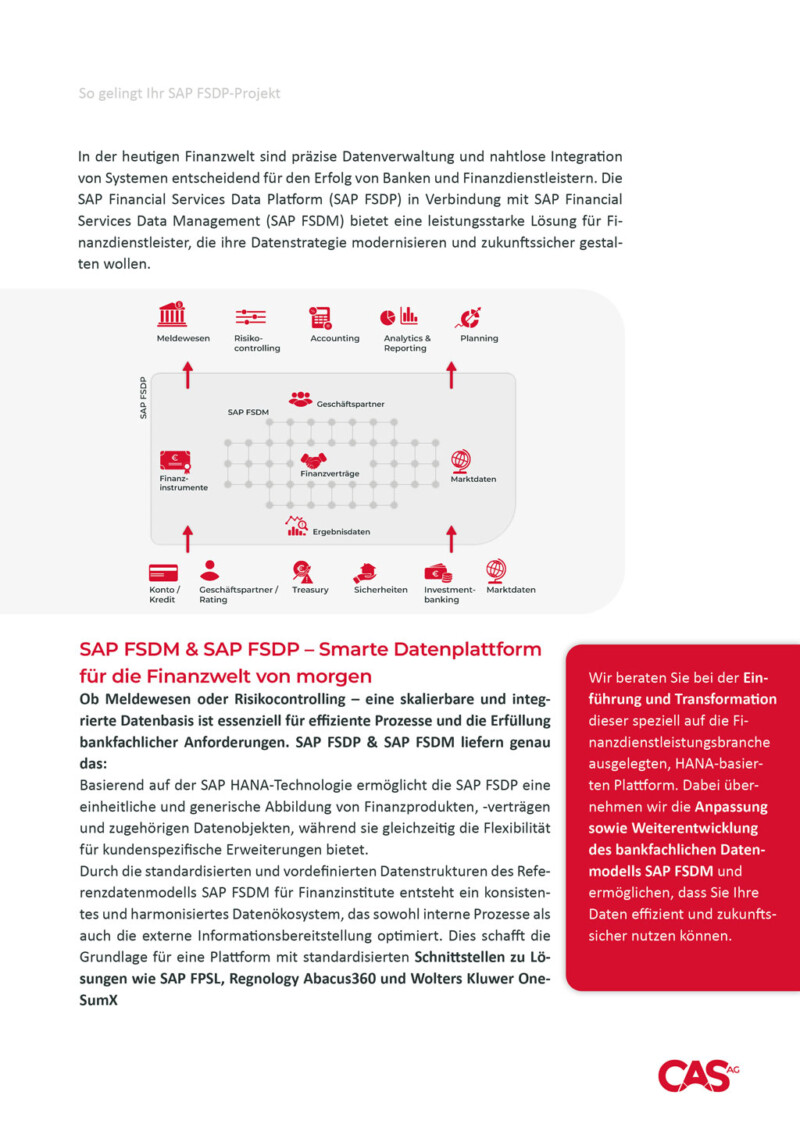 SAP FSDM SAP FSDP Beratung & Einführung